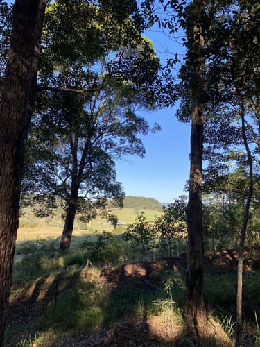 Best Hikes and Trails in Eumundi Conservation Park | AllTrails