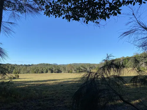 Best 10 Hiking Trails in Eumundi Conservation Park | AllTrails