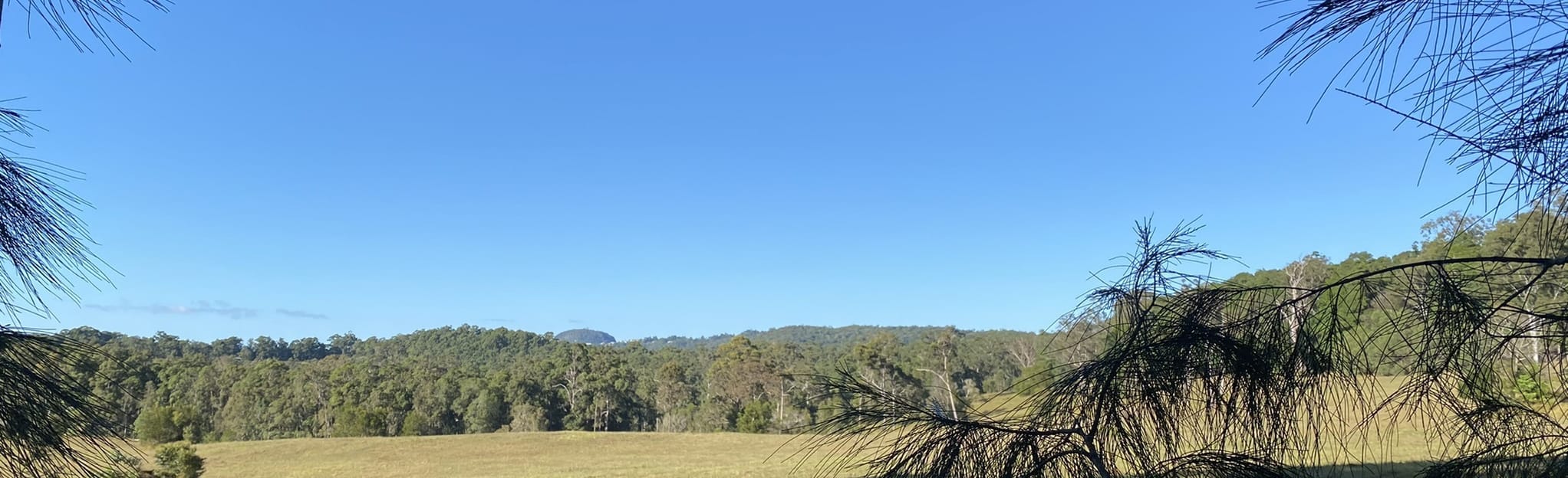 Ironbark Trail Southern Loop, Queensland, Australia - 26 Reviews, Map ...