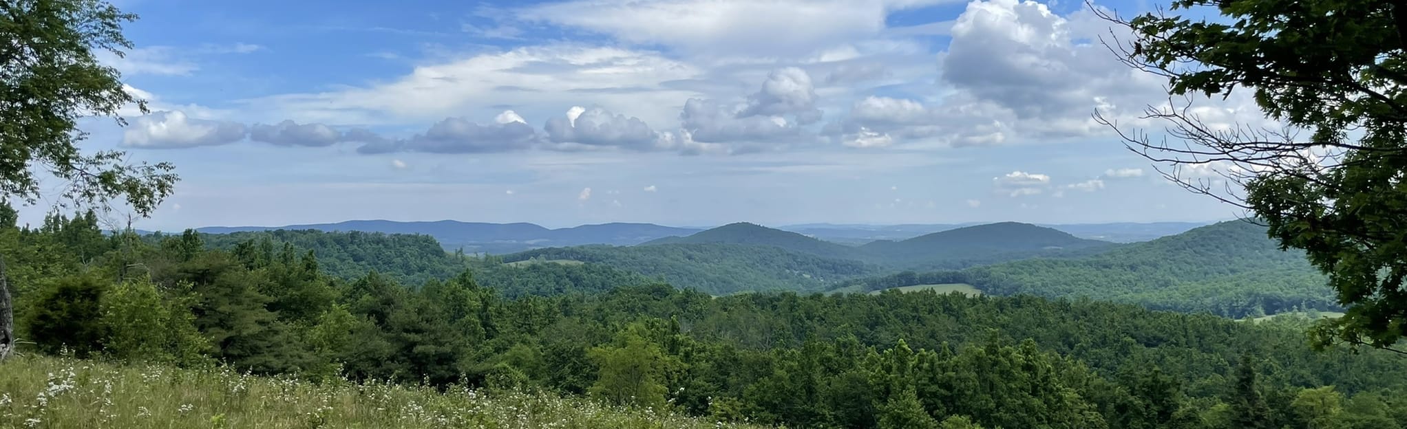 Rock Castle Gorge Loop: 643 Reviews, Map - Virginia | AllTrails