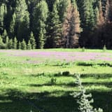 White Wolf to Pate Valley Trail, California - 29 Reviews, Map | AllTrails