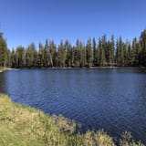 White Wolf to Pate Valley Trail, California - 29 Reviews, Map | AllTrails