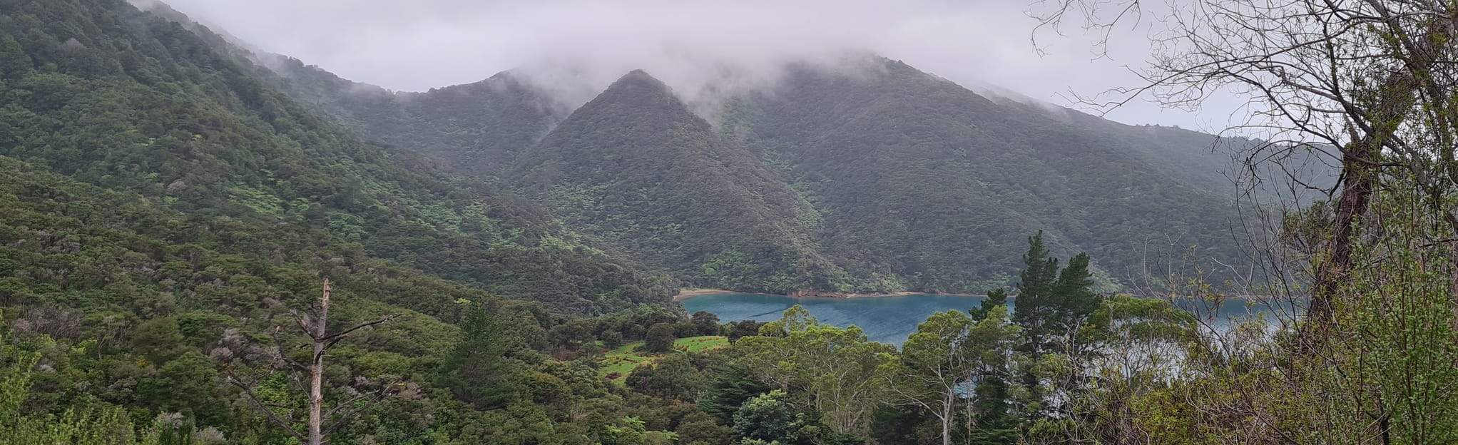 Queen Charlotte Track: Resolution Bay to Endeavour Inlet - Marlborough ...