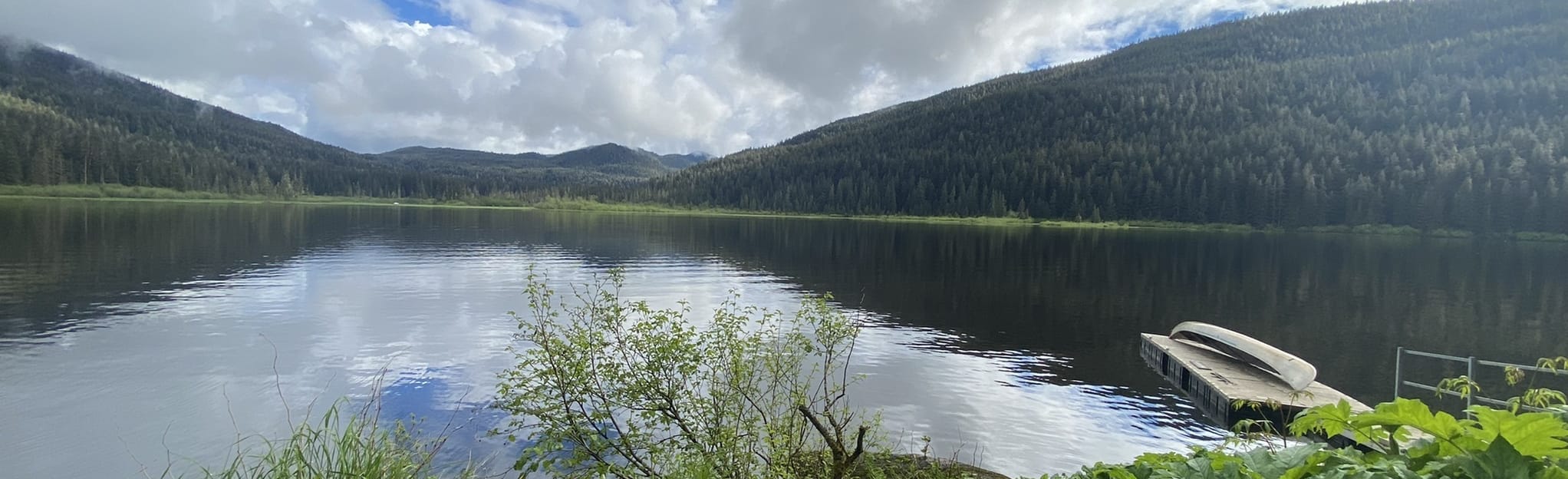 Windfall Lake Trail: 99 Reviews, Map - Alaska | AllTrails