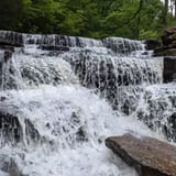 Blue Hole Road, Arkansas - 57 Reviews, Map | AllTrails