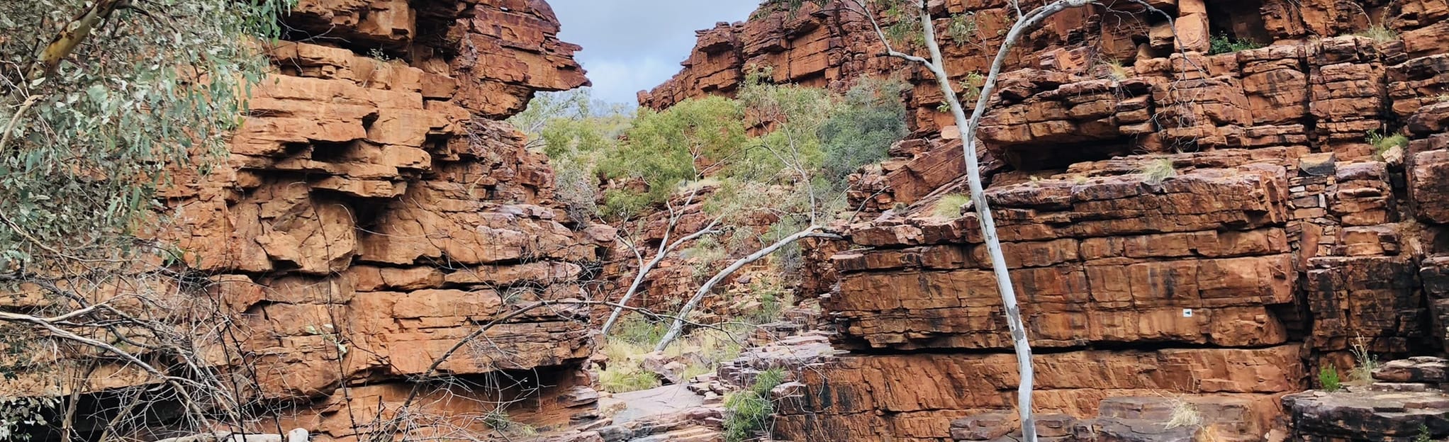 Chain Of Ponds Walk, Northern Territory, Australia - 16 Reviews, Map ...
