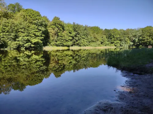 10 Best Backpacking Trails in Drentsche Aa National Park | AllTrails