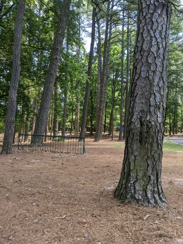 Best Hikes and Trails in Schumaker Park | AllTrails