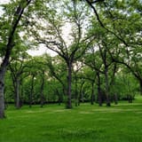 Walnut Grove Park Loop, Nebraska - 87 Reviews, Map | AllTrails