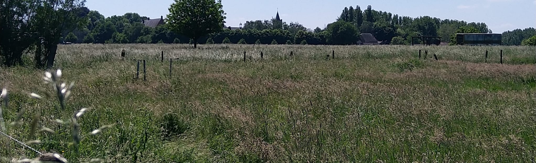 Abdij Affligem Loop: 3 Reviews, Map - Flemish Brabant, Belgium | AllTrails