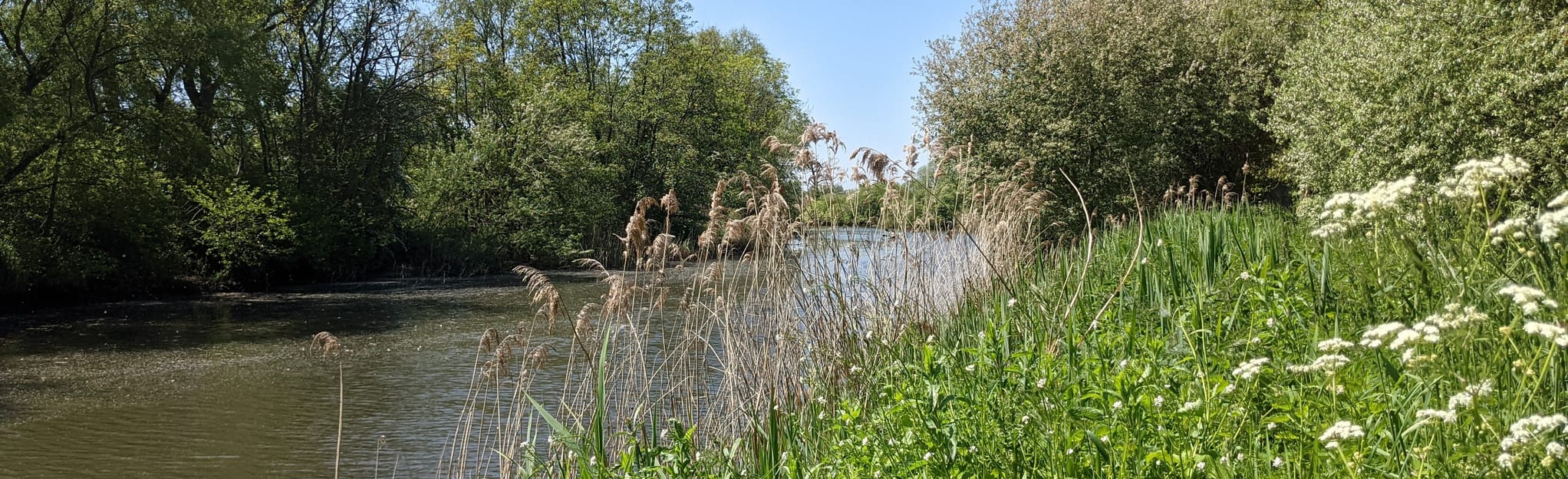 Long Beccles Circular: 66 foto's - Suffolk, Engeland | Wandelen - AllTrails