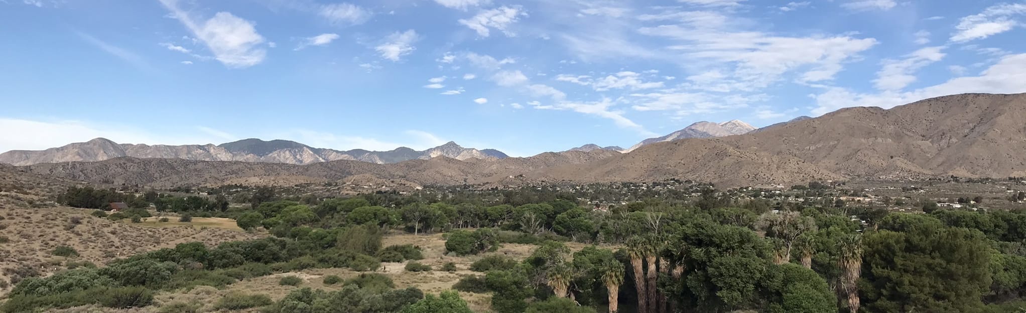 Big Morongo Canyon Trail - California | AllTrails