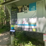 Bear’s Den Falls, Massachusetts - 127 Reviews, Map | AllTrails