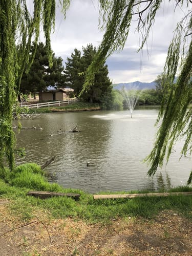 Best Hikes and Trails in Pahrump | AllTrails