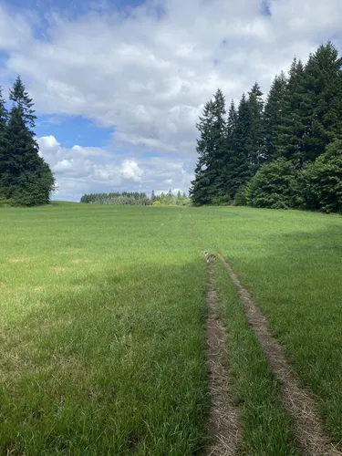 2023 Best Easy Trails in Brush Prairie | AllTrails
