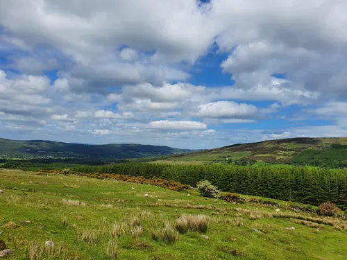 10 Best Trails and Hikes in County Limerick | AllTrails