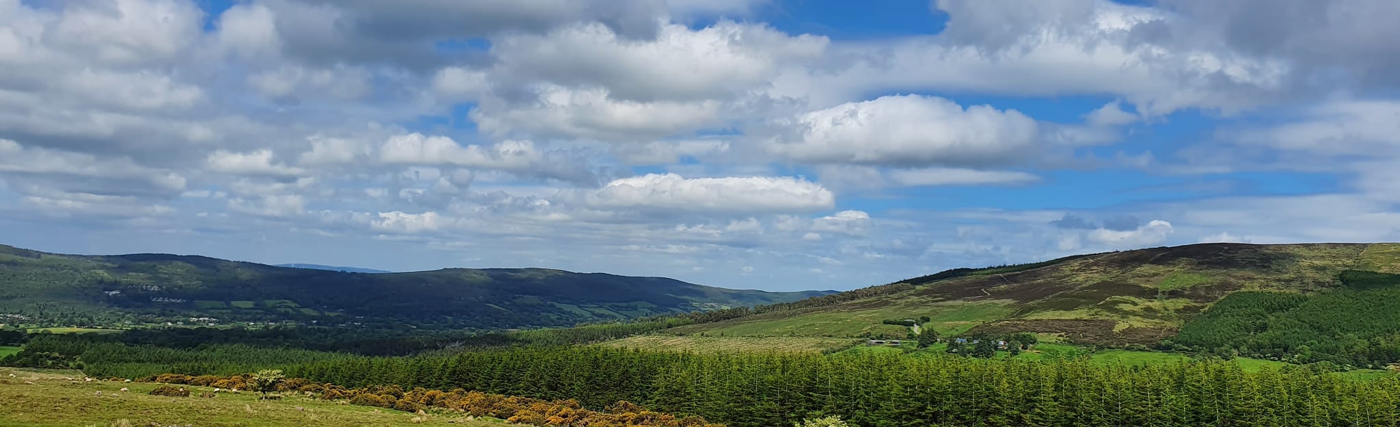 Glengarra Wood to Lough Curra, County Limerick, Ireland - 206 Reviews ...