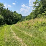 Lake Williams and Lake Redman, Pennsylvania - 169 Reviews, Map | AllTrails