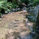 Lake Williams and Lake Redman, Pennsylvania - 169 Reviews, Map | AllTrails