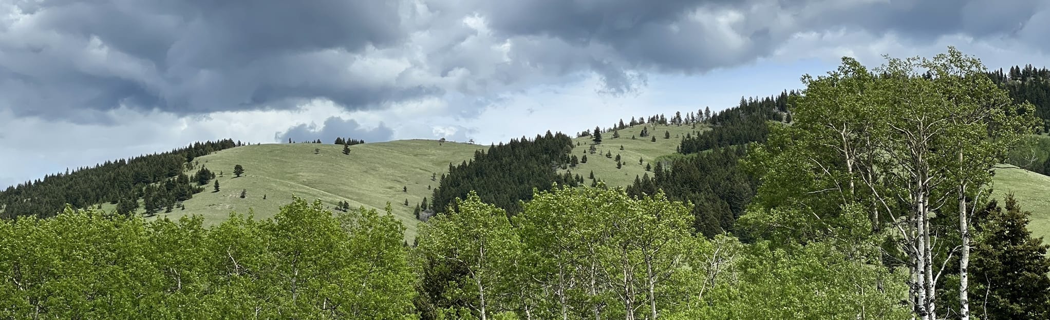 South Whaleback Valley Loop: 5 Reviews, Map - Alberta, Canada | AllTrails