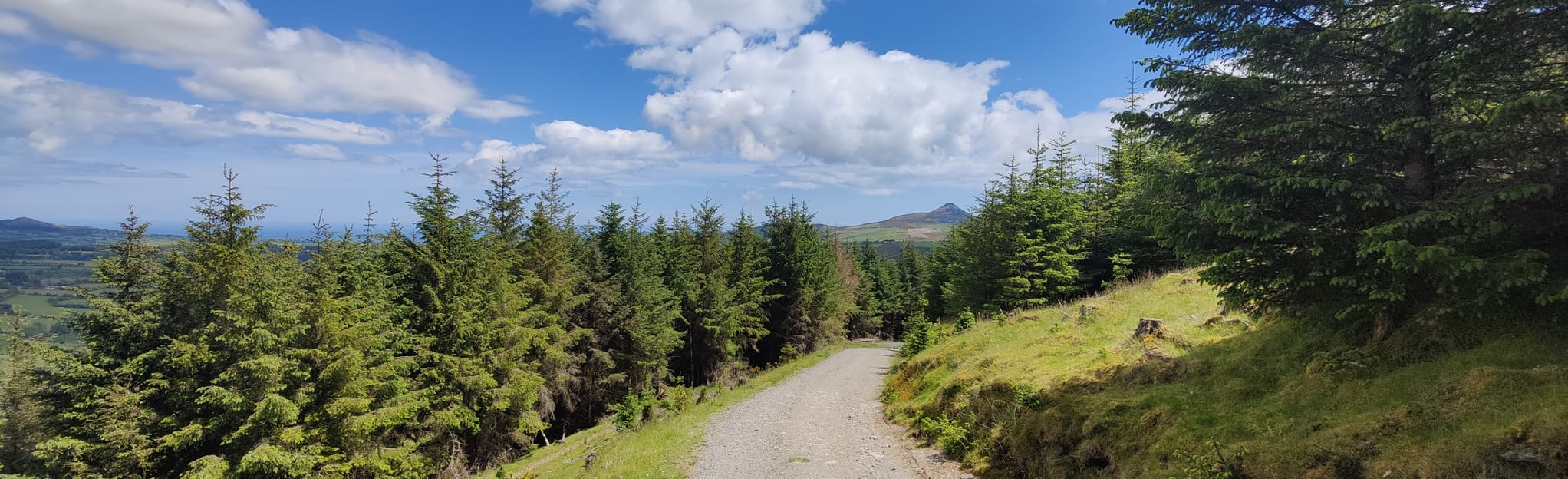 Crone Wood and Maulin Mountain Loop, County Wicklow, Ireland - 1,353 ...