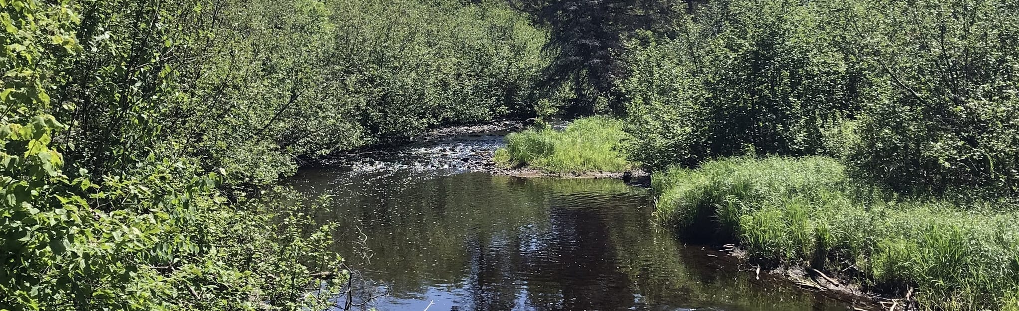 Superior Hiking Trail: Sucker River Campsite to Normanna Road Trailhead ...