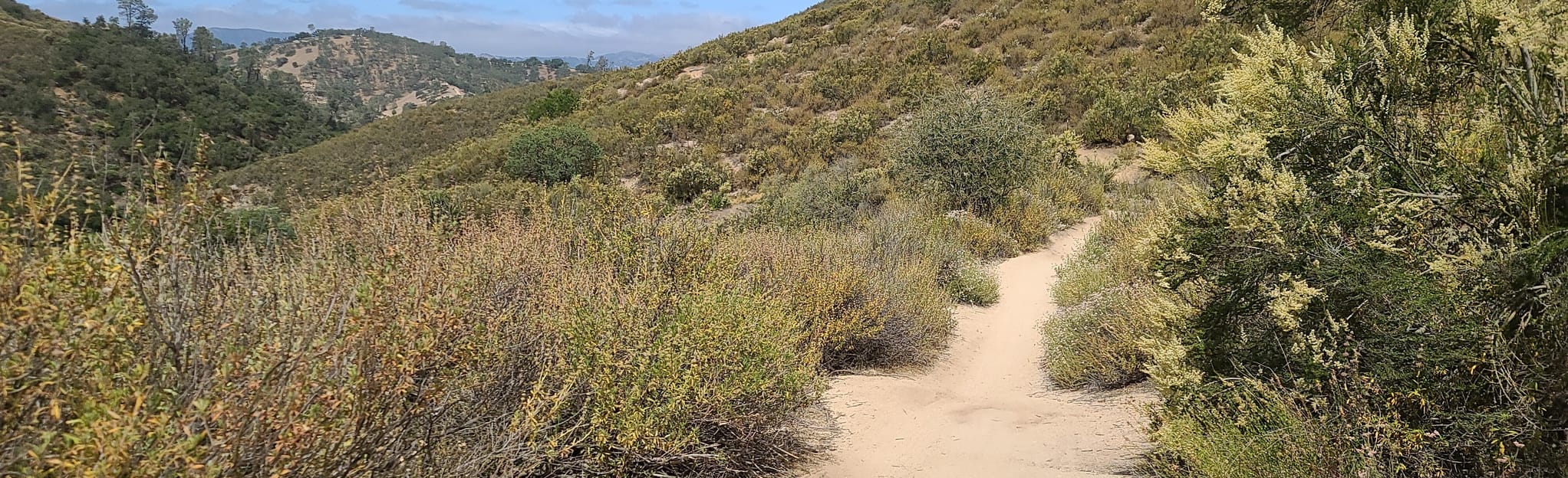 Rocky Canyon Trail: 125 Reviews, Map - California | AllTrails