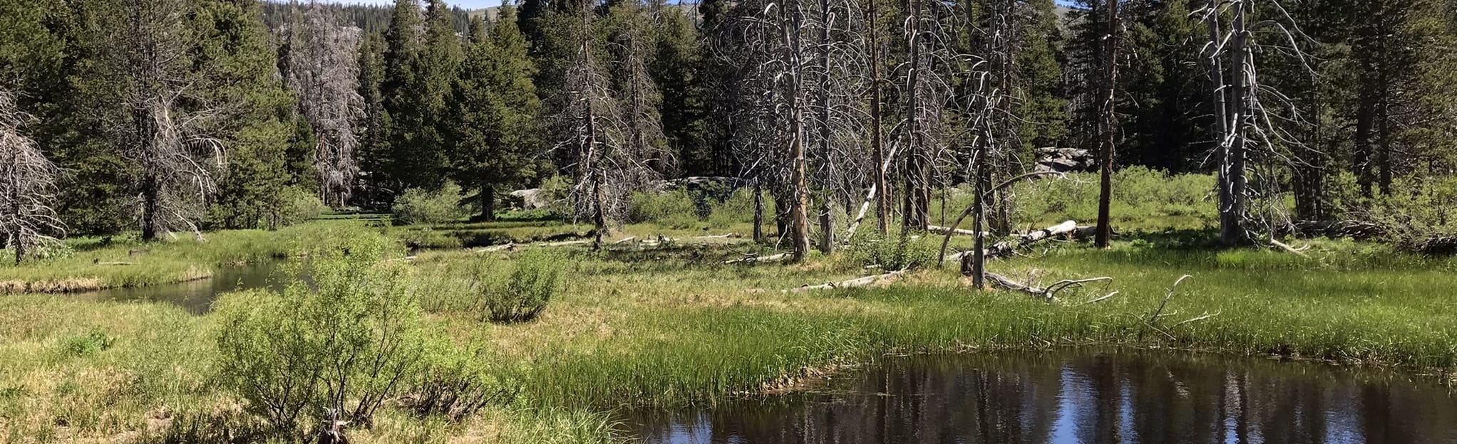 Lake Margaret Trail: 907 Reviews, Map - California | AllTrails