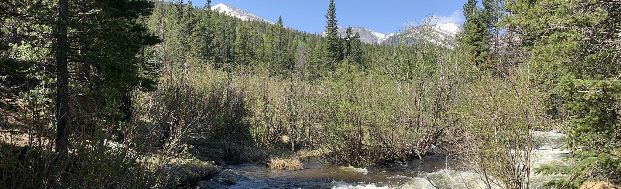 Boulder Brook Trail: 103 Reviews, Map - Colorado | AllTrails
