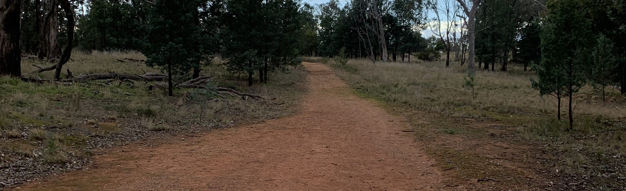 Coolamon Mountain Bike Loop: 7 Reviews, Map - New South Wales ...