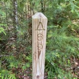 Eagle Creek, Spence Field, and Hazel Creek Loop Trail, North Carolina ...