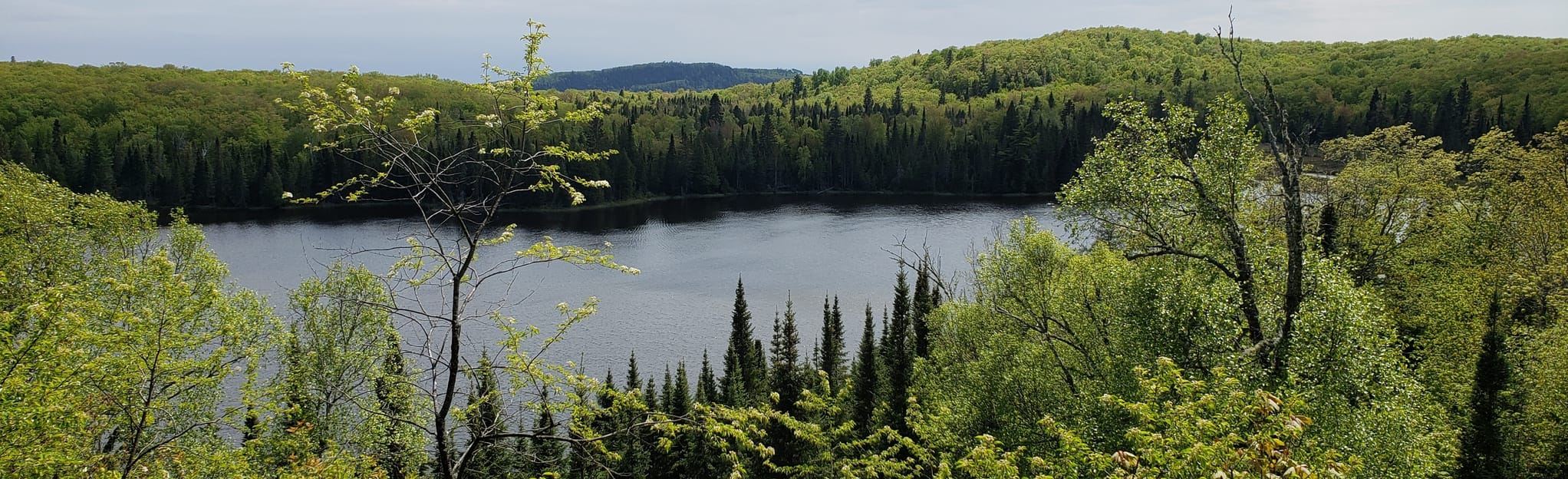 Caribou Lake to Lutsen Ski Resort, Minnesota - 106 Reviews, Map | AllTrails