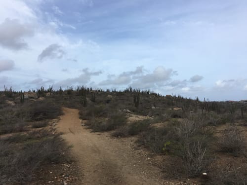 2023 Best 10 Trails and Hikes in Aruba | AllTrails
