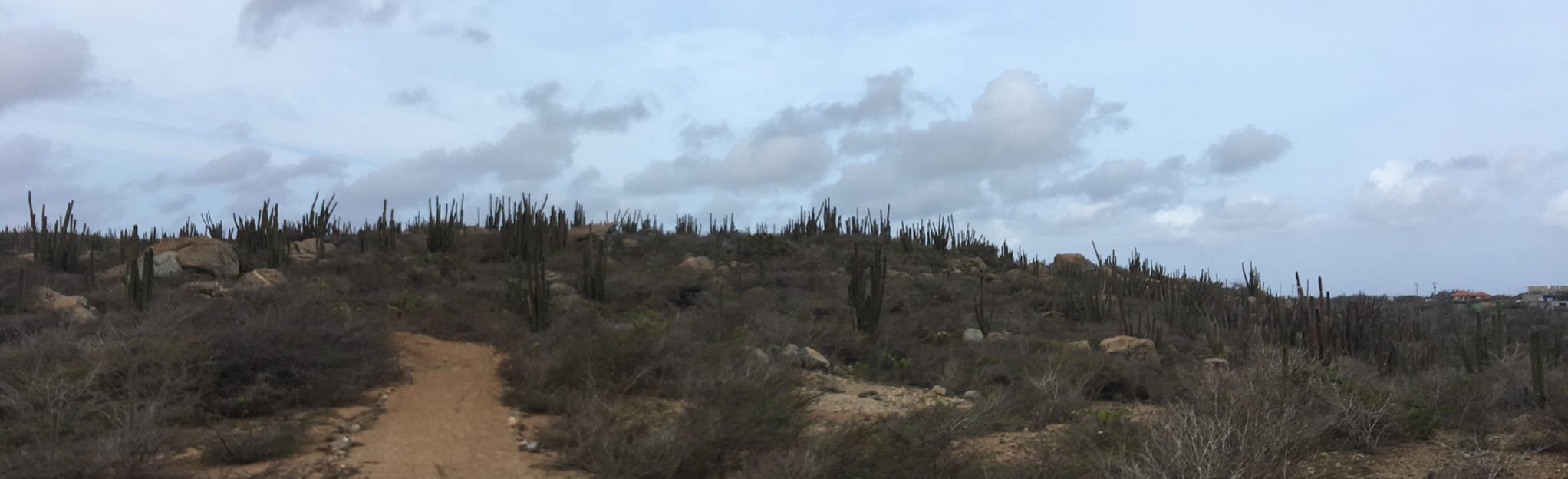 Bushi Trail: 21 Reviews, Map - Aruba, Aruba | AllTrails