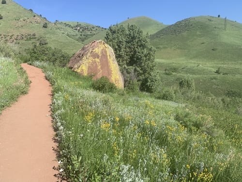Best 10 Hikes and Trails in Matthews Winters Open Space Park | AllTrails
