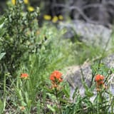 Twisp Pass Trail, Washington - 51 Reviews, Map | AllTrails