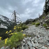 Twisp Pass Trail, Washington - 51 Reviews, Map | AllTrails