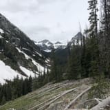 Twisp Pass Trail, Washington - 51 Reviews, Map | AllTrails