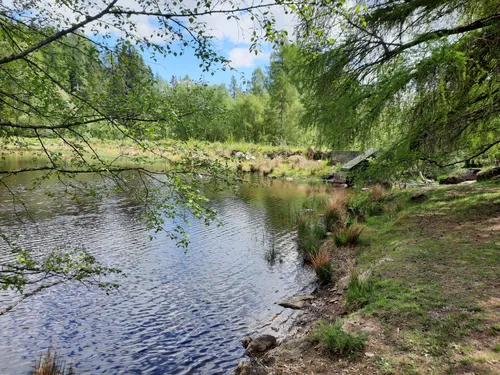 10 Best Trails, Walks, and Paths in Dunkeld | AllTrails