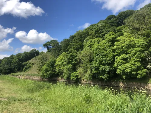 10 Best Trails, Walks, and Paths in Durham | AllTrails