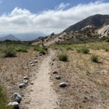 Mormon Rocks Interpretive Trail, California - 218 Reviews, Map | AllTrails