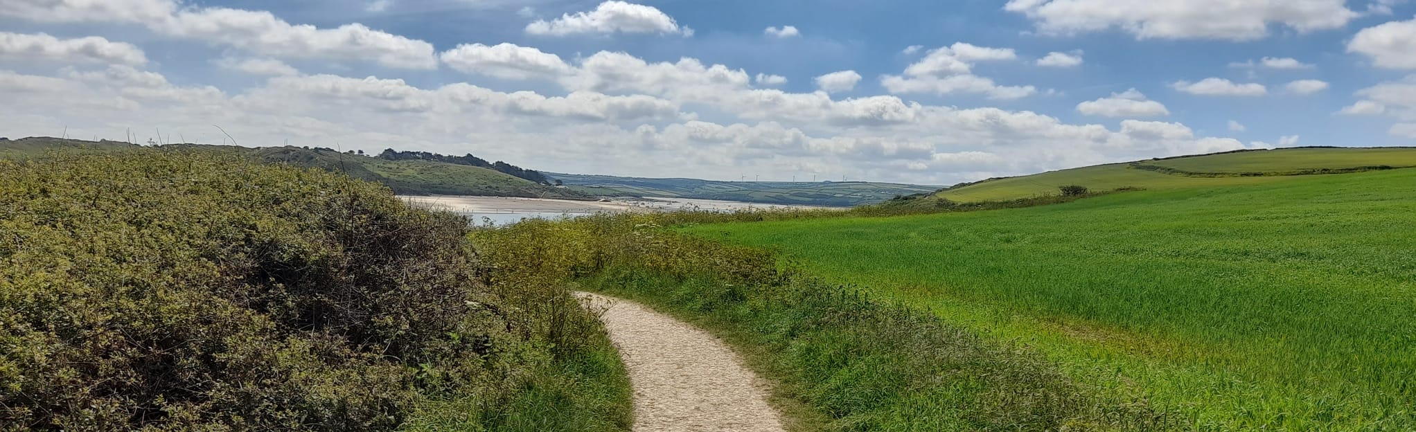 Padstow and Camel Estuary : 58 Reviews, Map - Cornwall, England | AllTrails