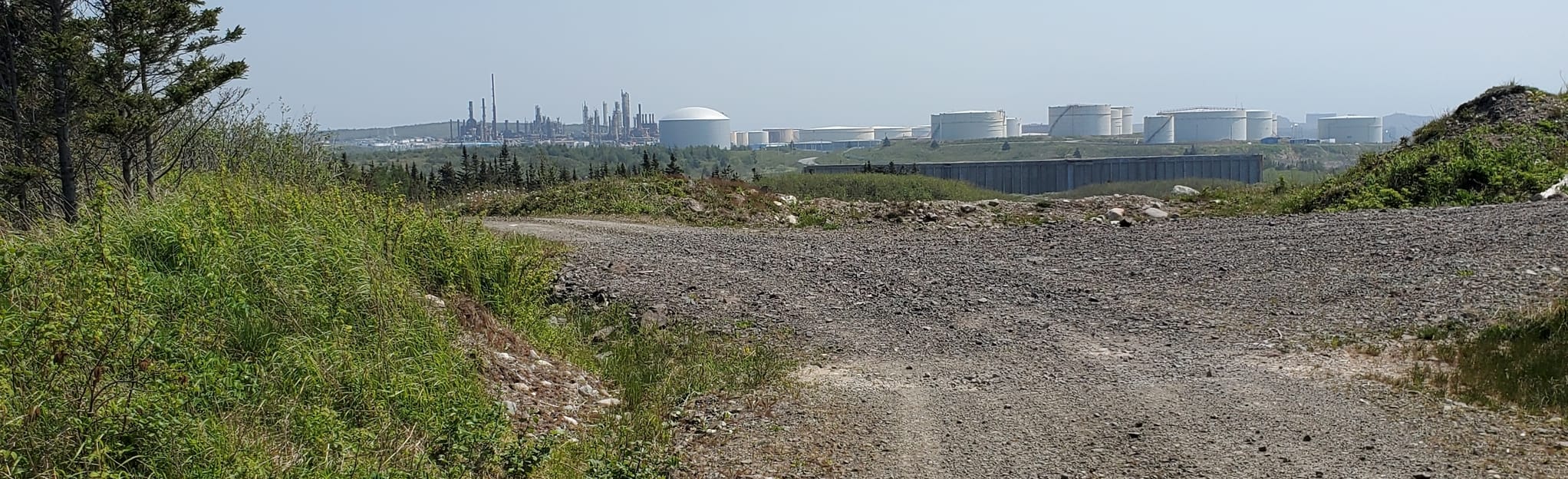 Cleary Hiking Trail: 14 Reviews, Map - Newfoundland and Labrador ...