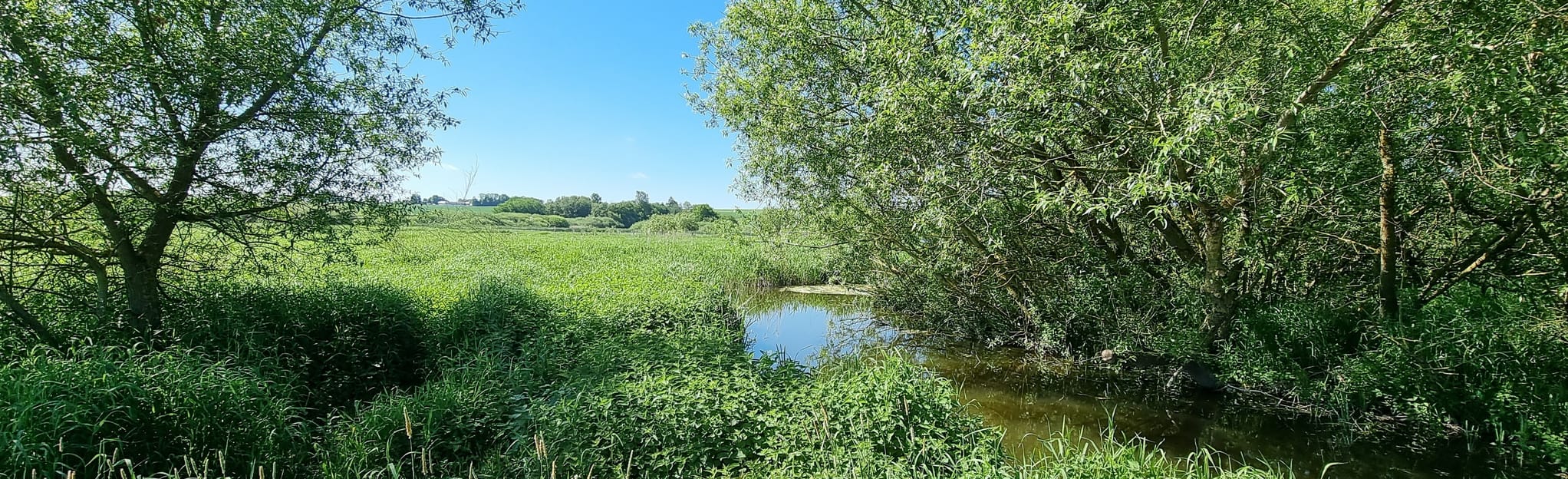 Ringsted Å - Høm, Zealand, Denmark - 7 Reviews, Map | AllTrails