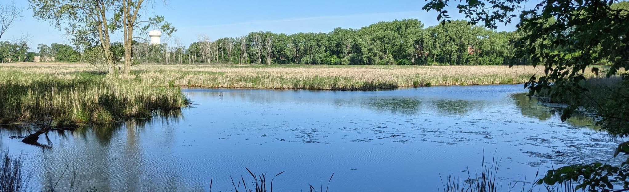 George Haun Trail: 165 Reviews, Map - Minnesota | AllTrails