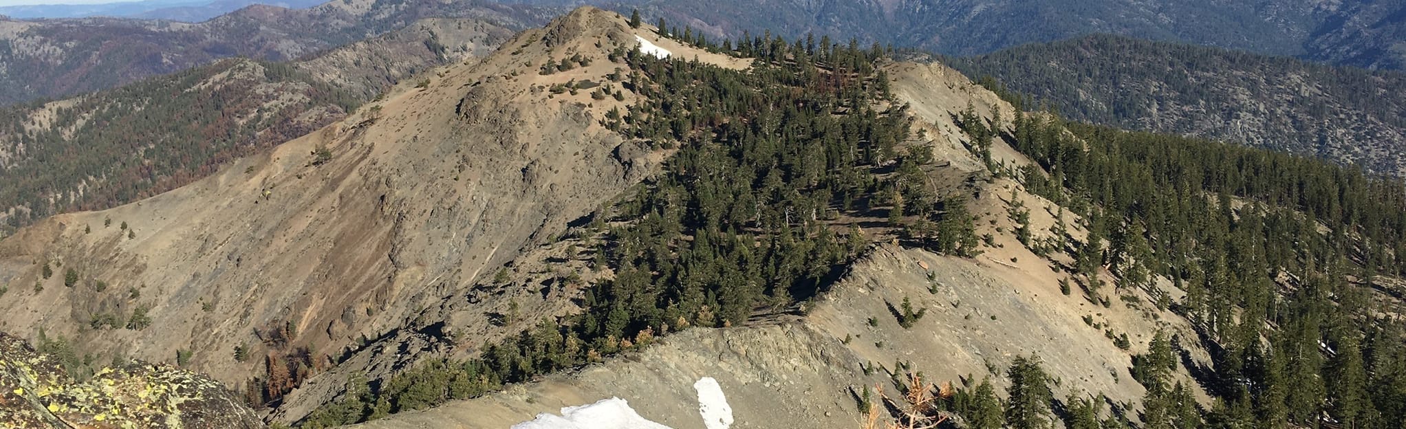 Mount Linn Loop: 13 Reviews, Map - California | AllTrails