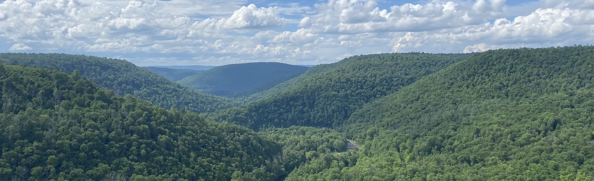 Loyalsock and Canyon Vista Trail, Pennsylvania - 18 Reviews, Map ...