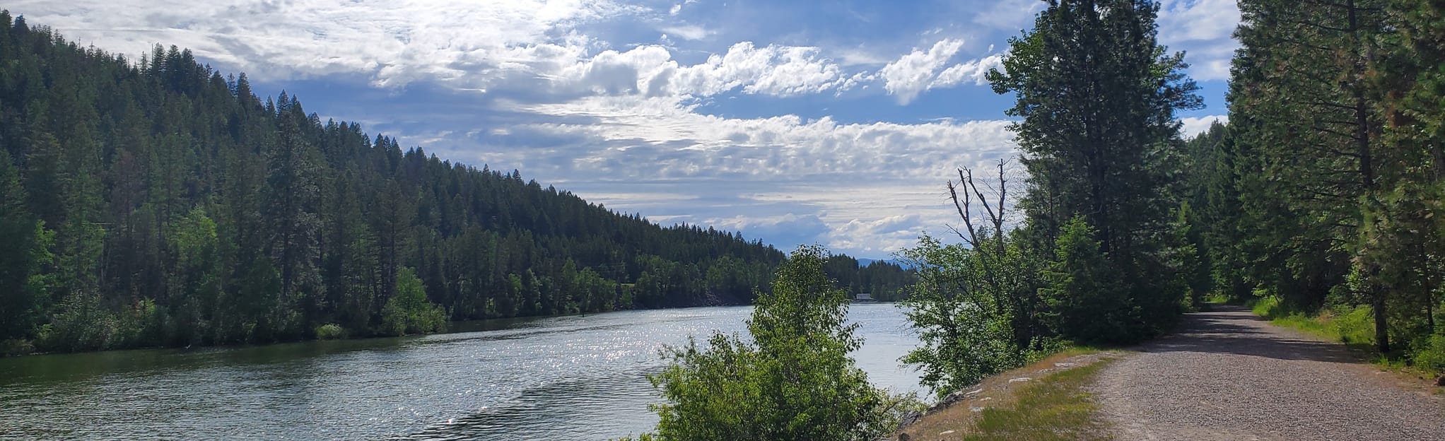Swan River Trail: 752 Reviews, Map - Montana | AllTrails