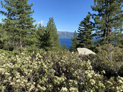 10 Best Hikes and Trails in Mount Rose Wilderness | AllTrails