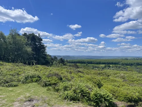 10 Best Trails, Walks, and Paths in Haslemere | AllTrails